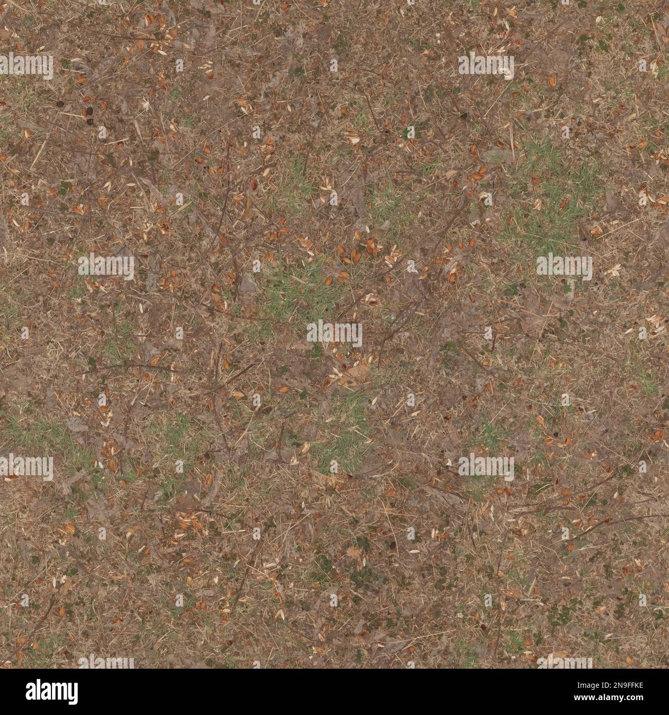 Texture ground, seamless texture ground Stock Photo - Alamy