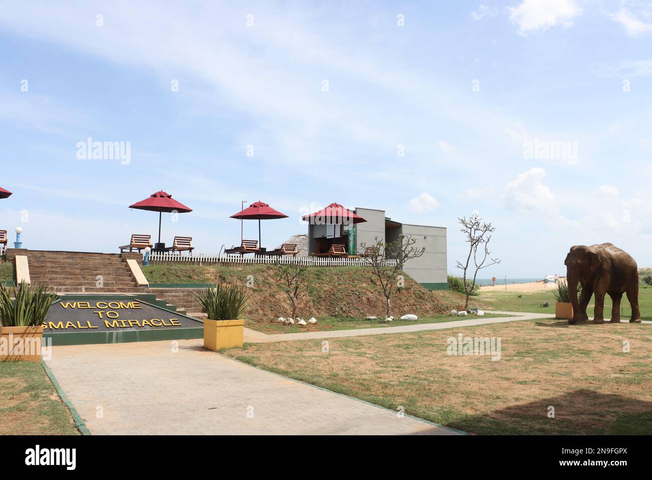 Wild elephant roaming in a Sri Lankan hotel Stock Photo - Alamy