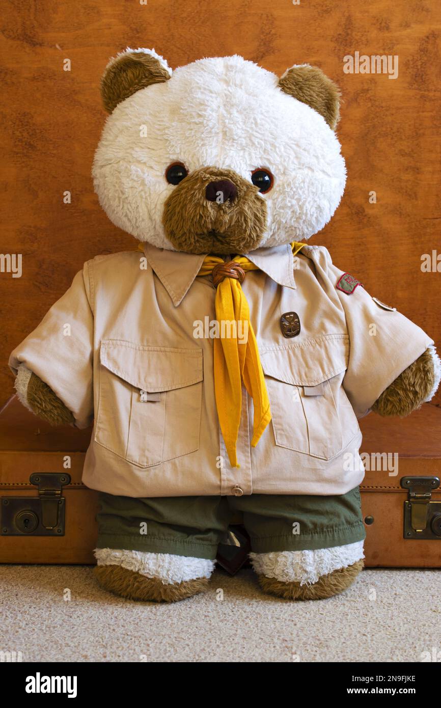 teddy bear dressed as boy scout from Czech Republic - Junak - Fireflies ...