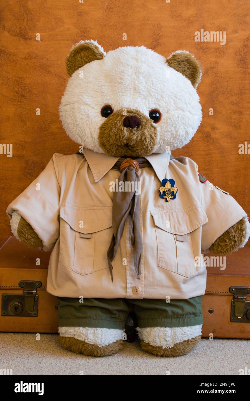 Czech scout hi-res stock photography and images - Alamy