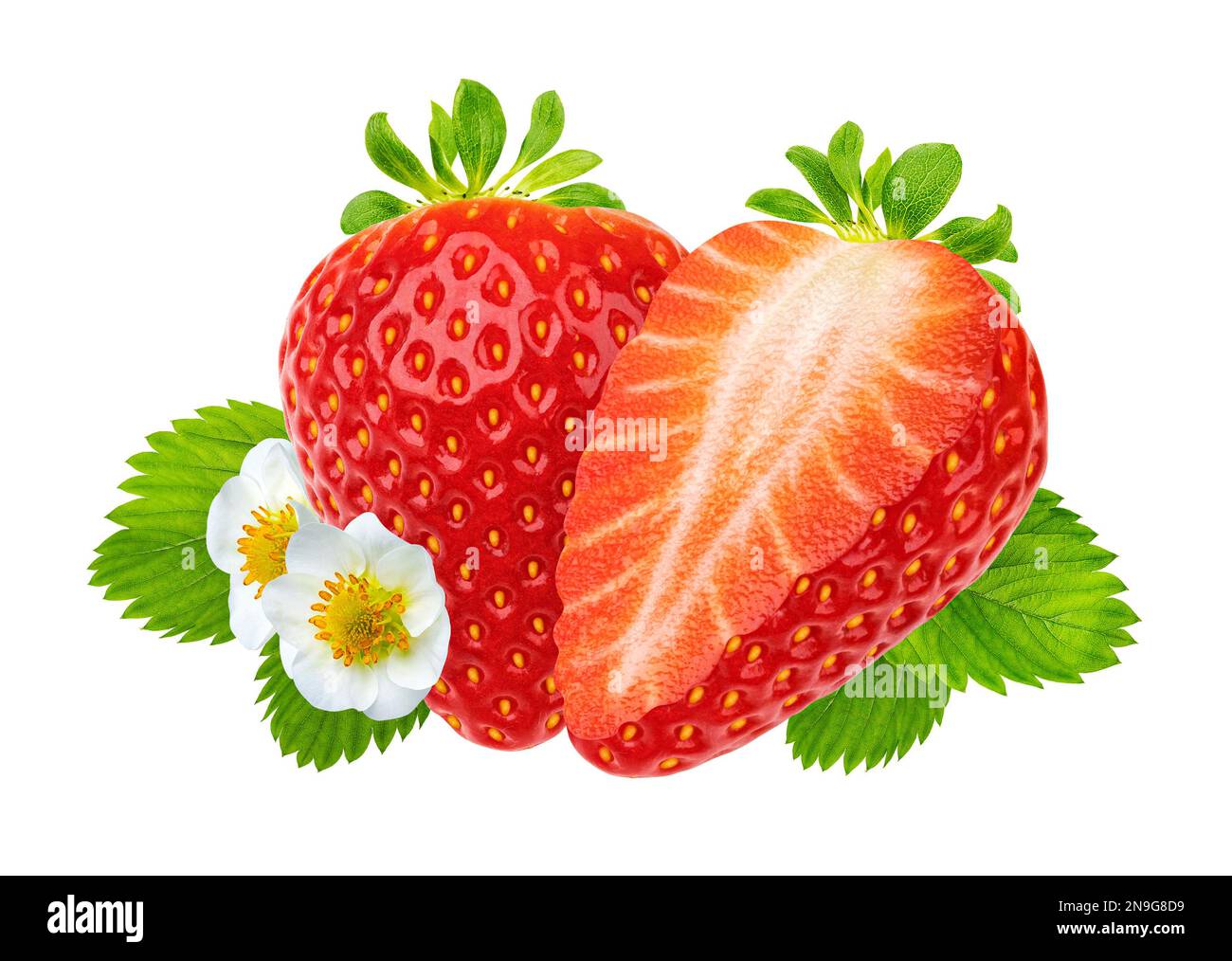 Strawberry with leaves and flowers isolated on white background Stock ...