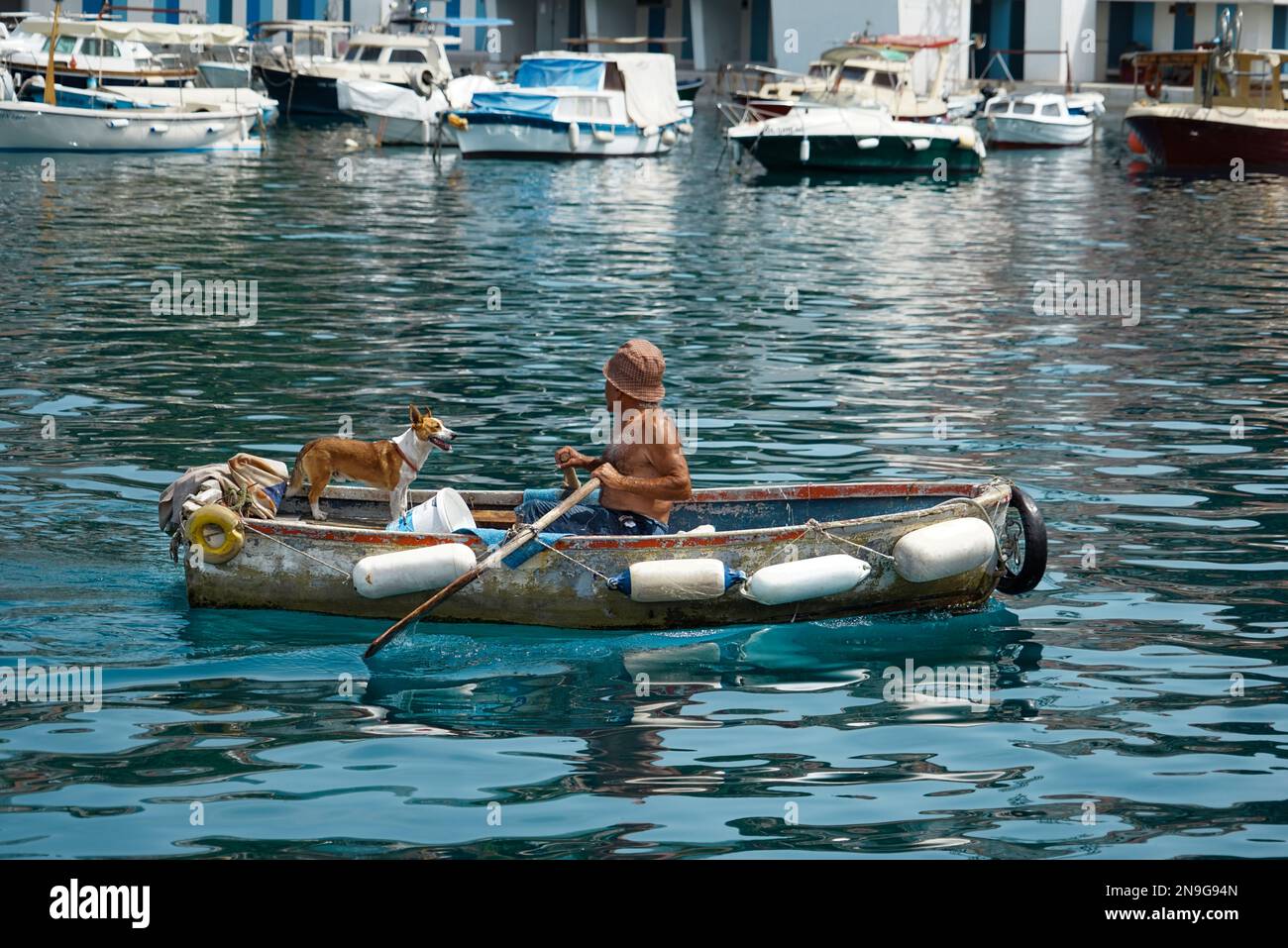 Man boat dog rowing hi-res stock photography and images - Alamy