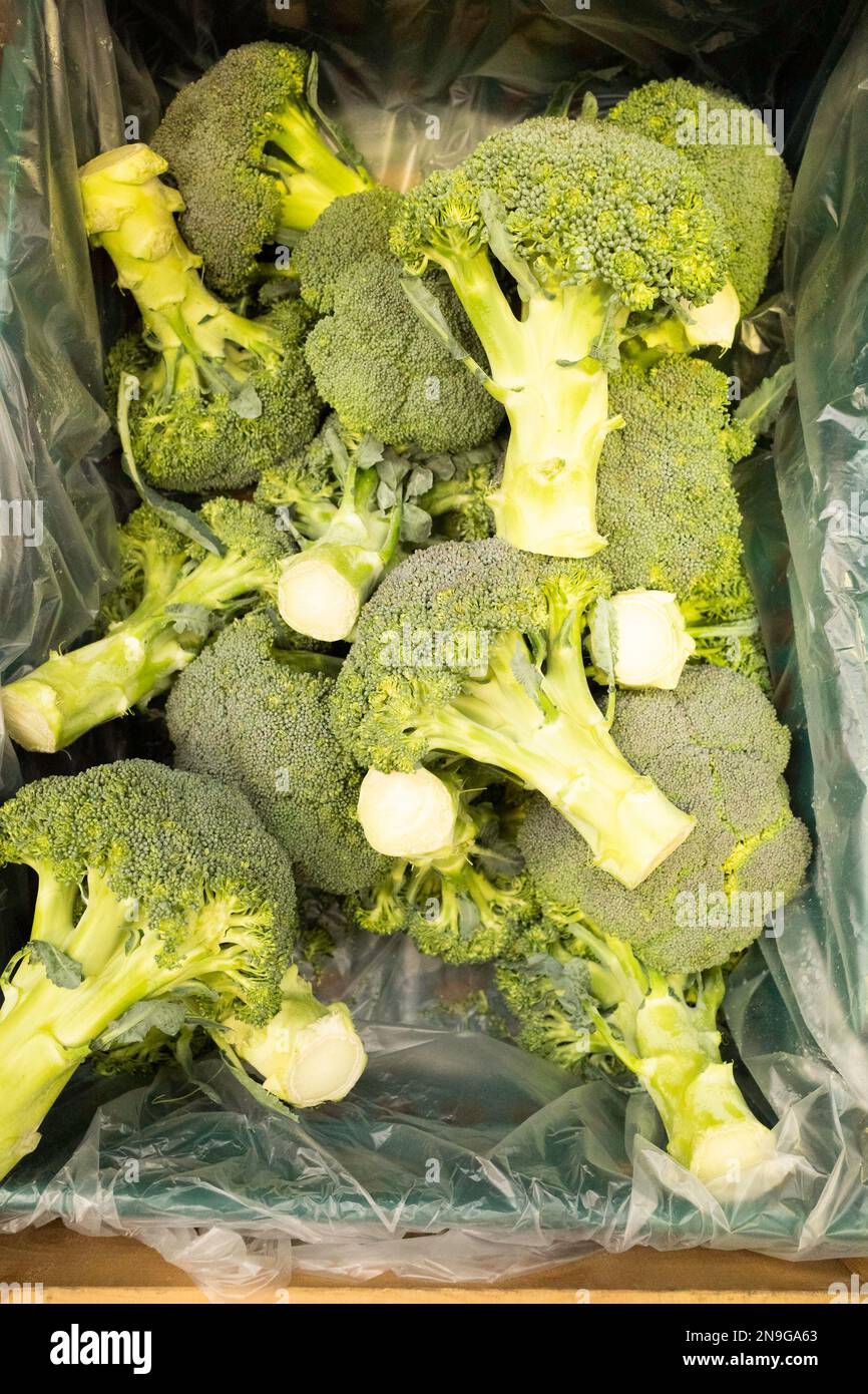 Fresh Unlabelled Broccoli displayed for self service in a food ...