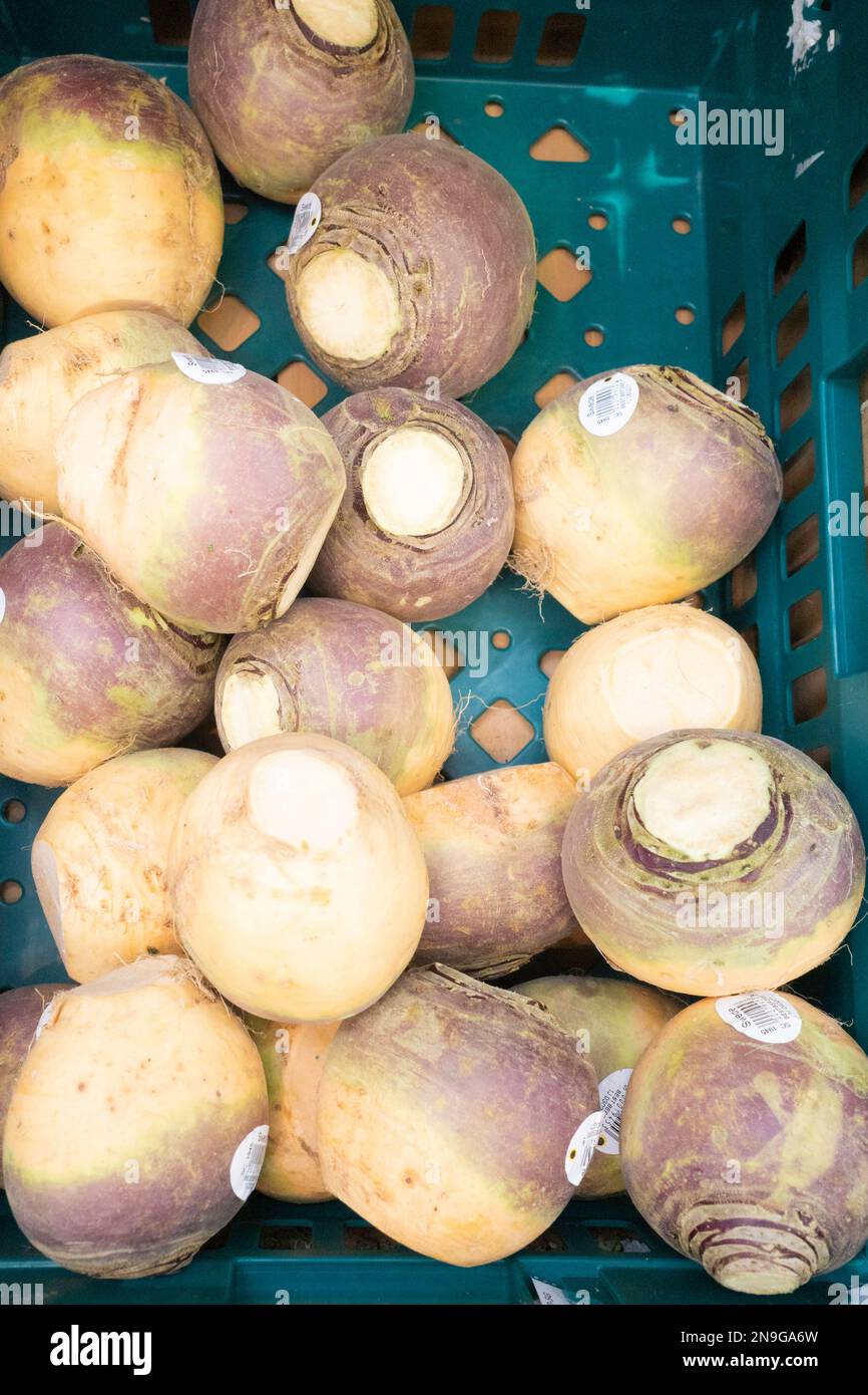 Fresh Unlabelled turnips displayed for self service in a food ...