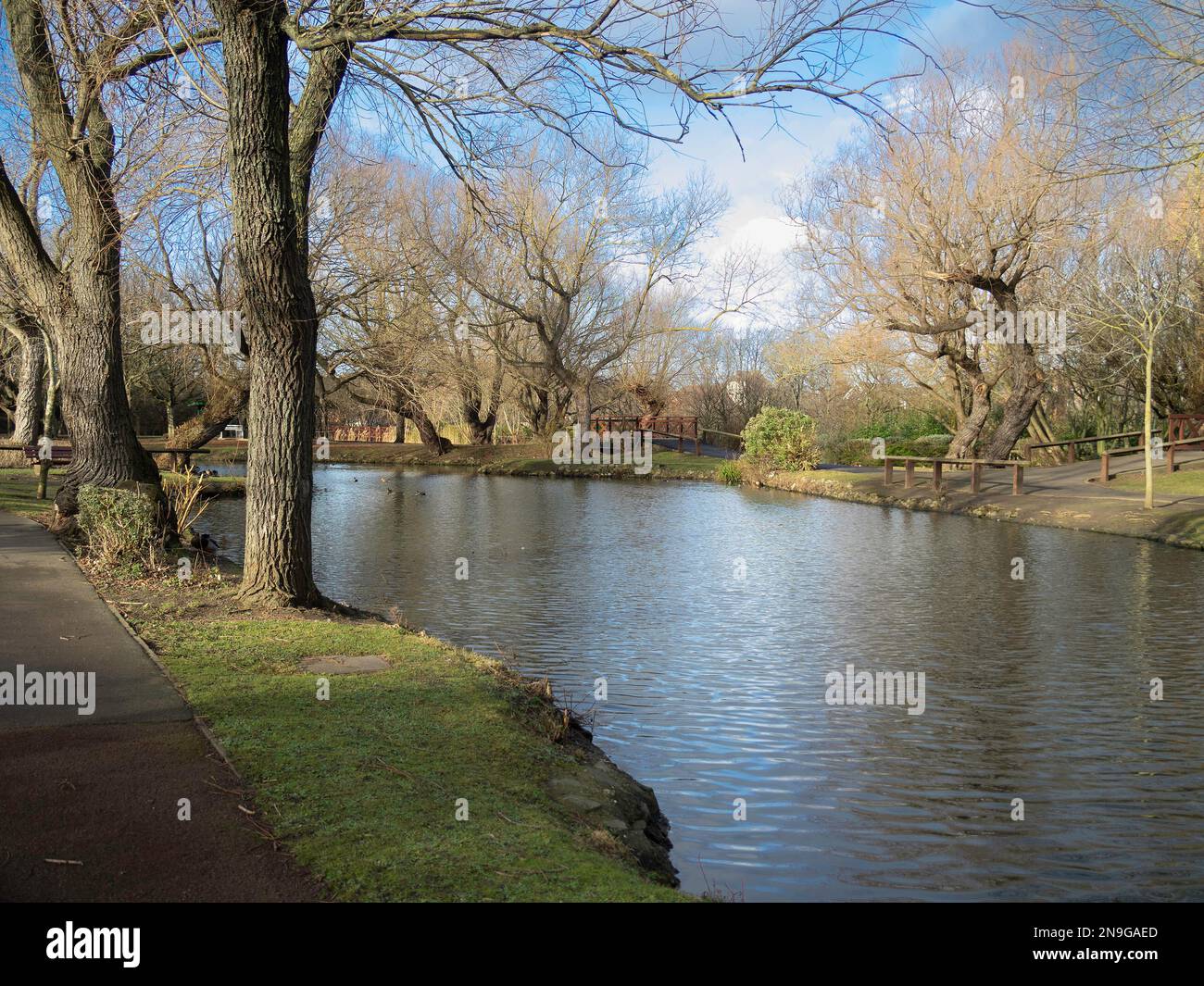 Path by the lake in Locke Park with mature willow trees in a public ...