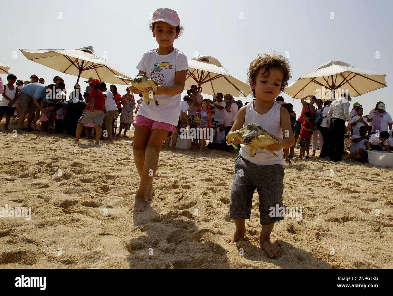 Children hold Hawksbill turtles before their release during an ...