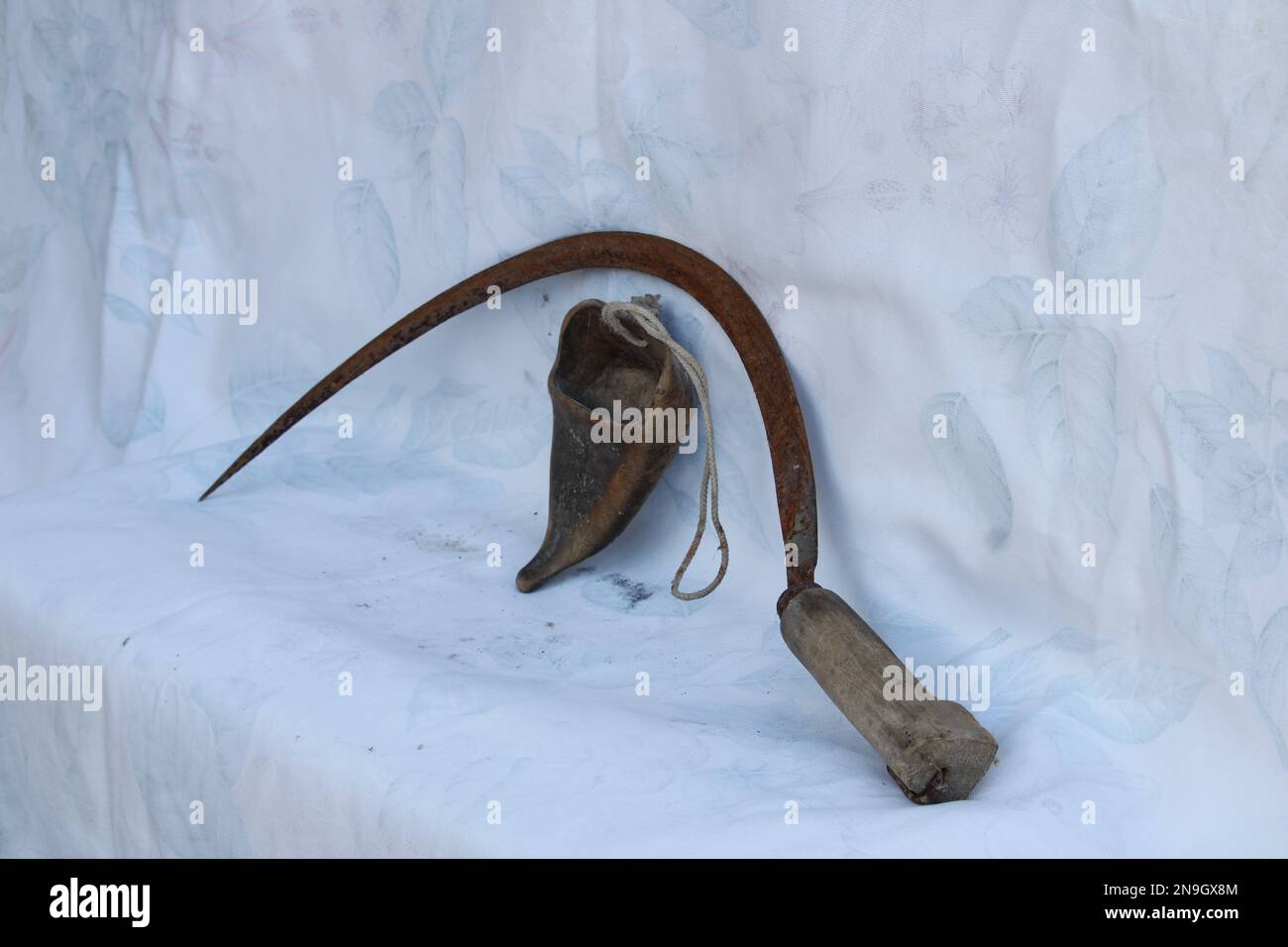 Hueso antiguo hi-res stock photography and images - Alamy