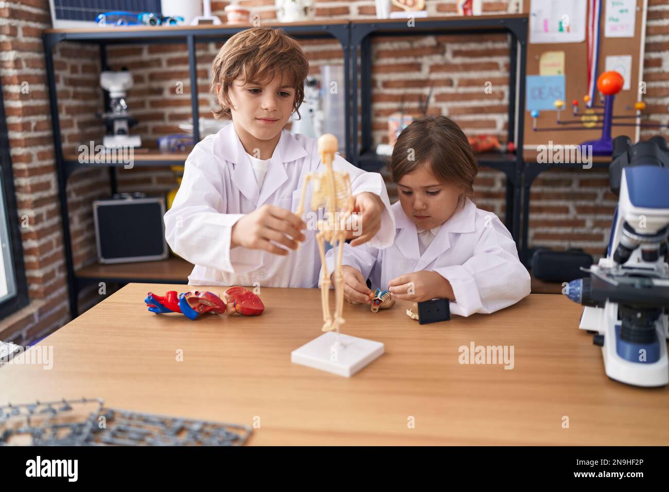 Brother and sister students having anatomy lesson at laboratory ...