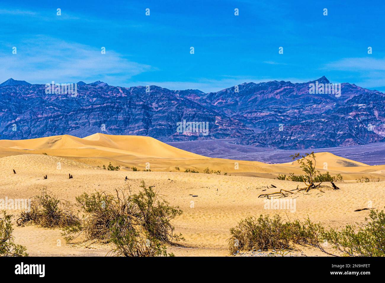 A landscape of the sand dunes in the Death Valley national park in ...
