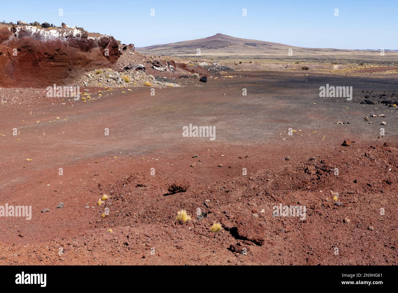 Red volcanic landscape along the famous Ruta40 in Argentina, South ...