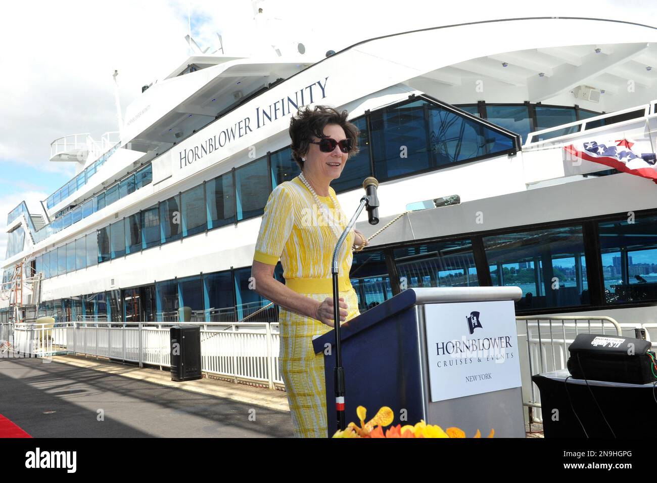 COMMERCIAL IMAGE - Diana Taylor, Chairwoman, Hudson River Park Trust ...