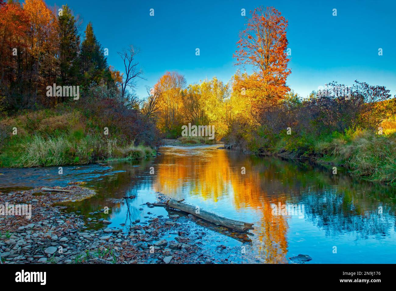 The 15.0-mile-long West Branch Wallenpaupack Creek rises in the Moosic ...