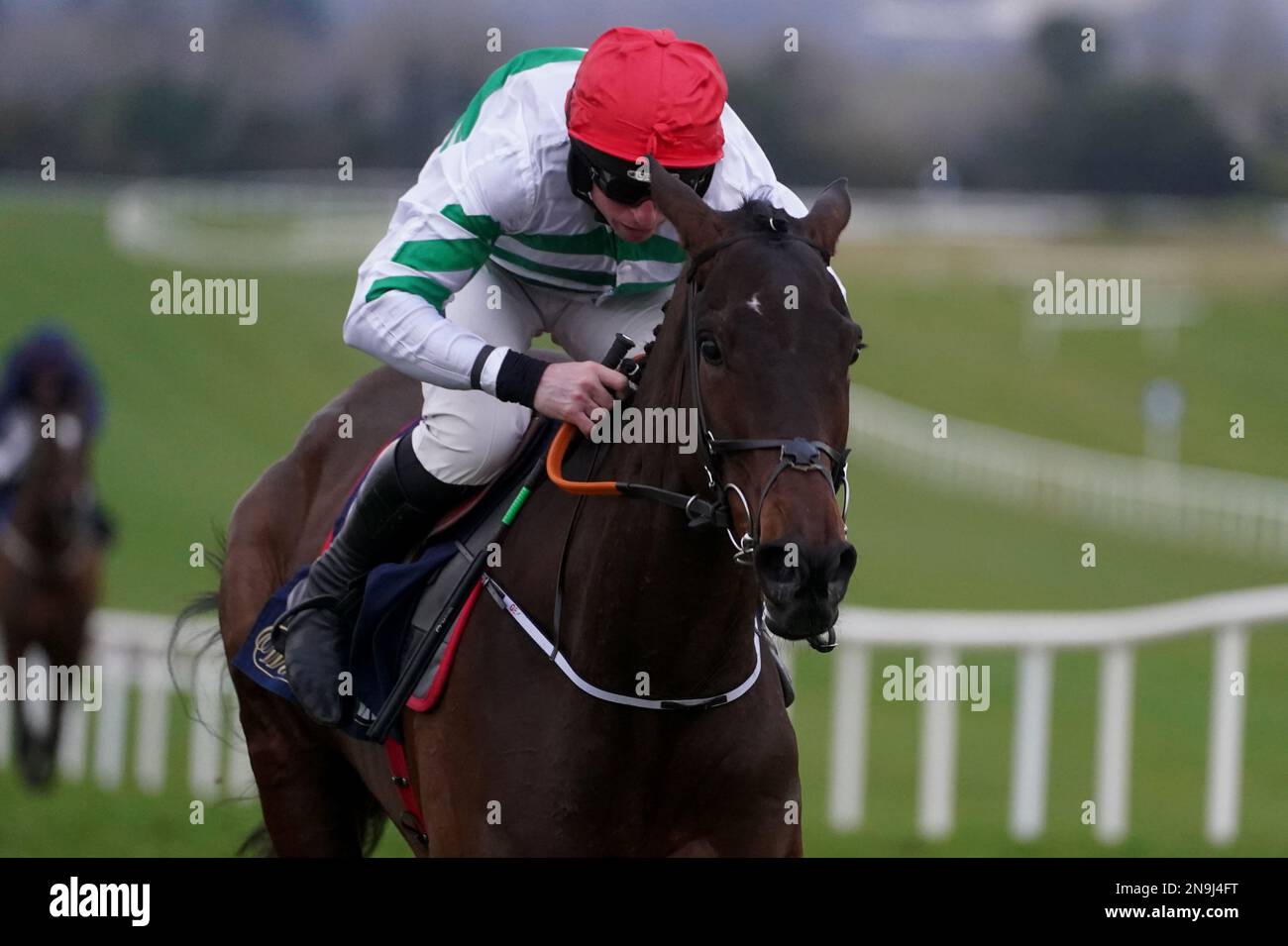 Firefox horse hi-res stock photography and images - Alamy