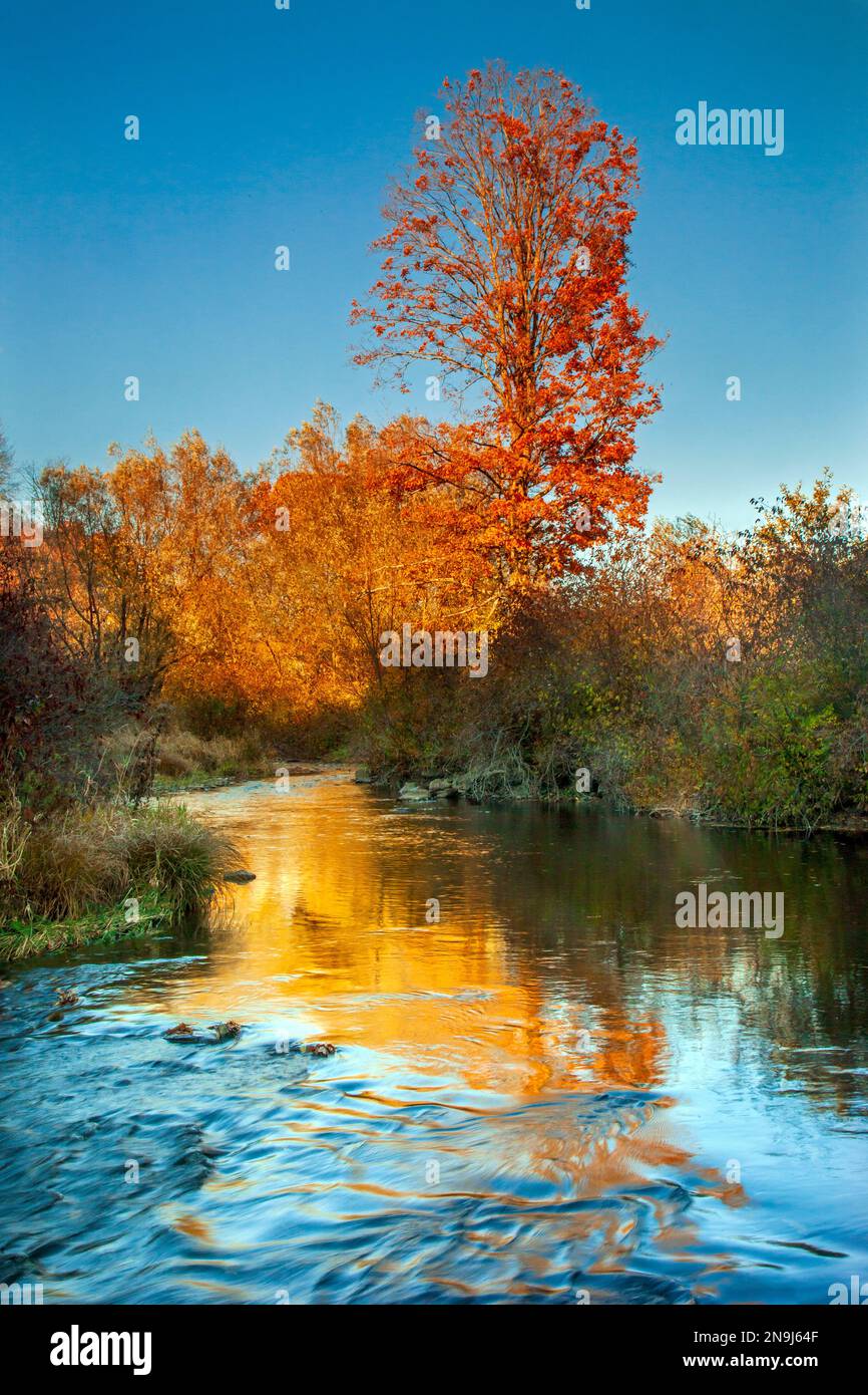 The 15.0-mile-long West Branch Wallenpaupack Creek rises in the Moosic ...