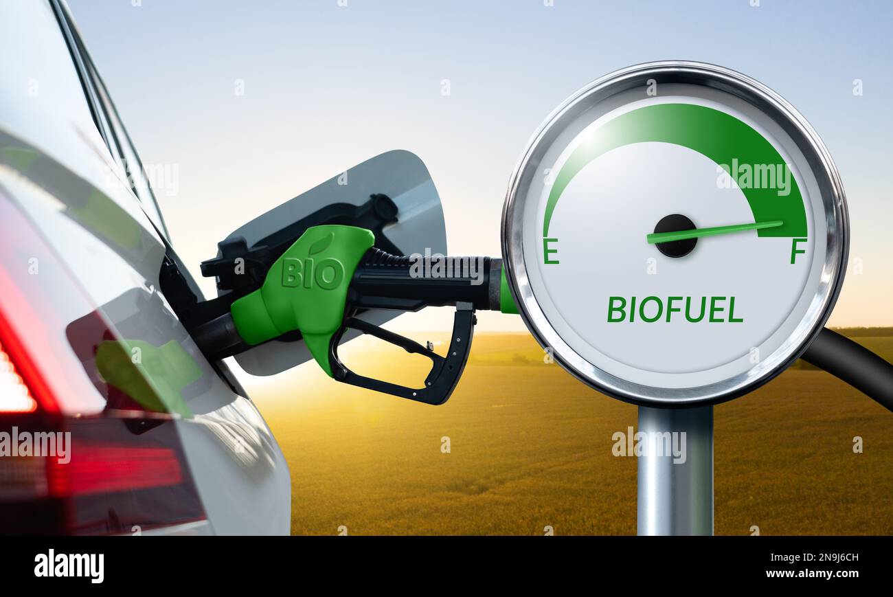 Refueling the car with biofuel Stock Photo - Alamy