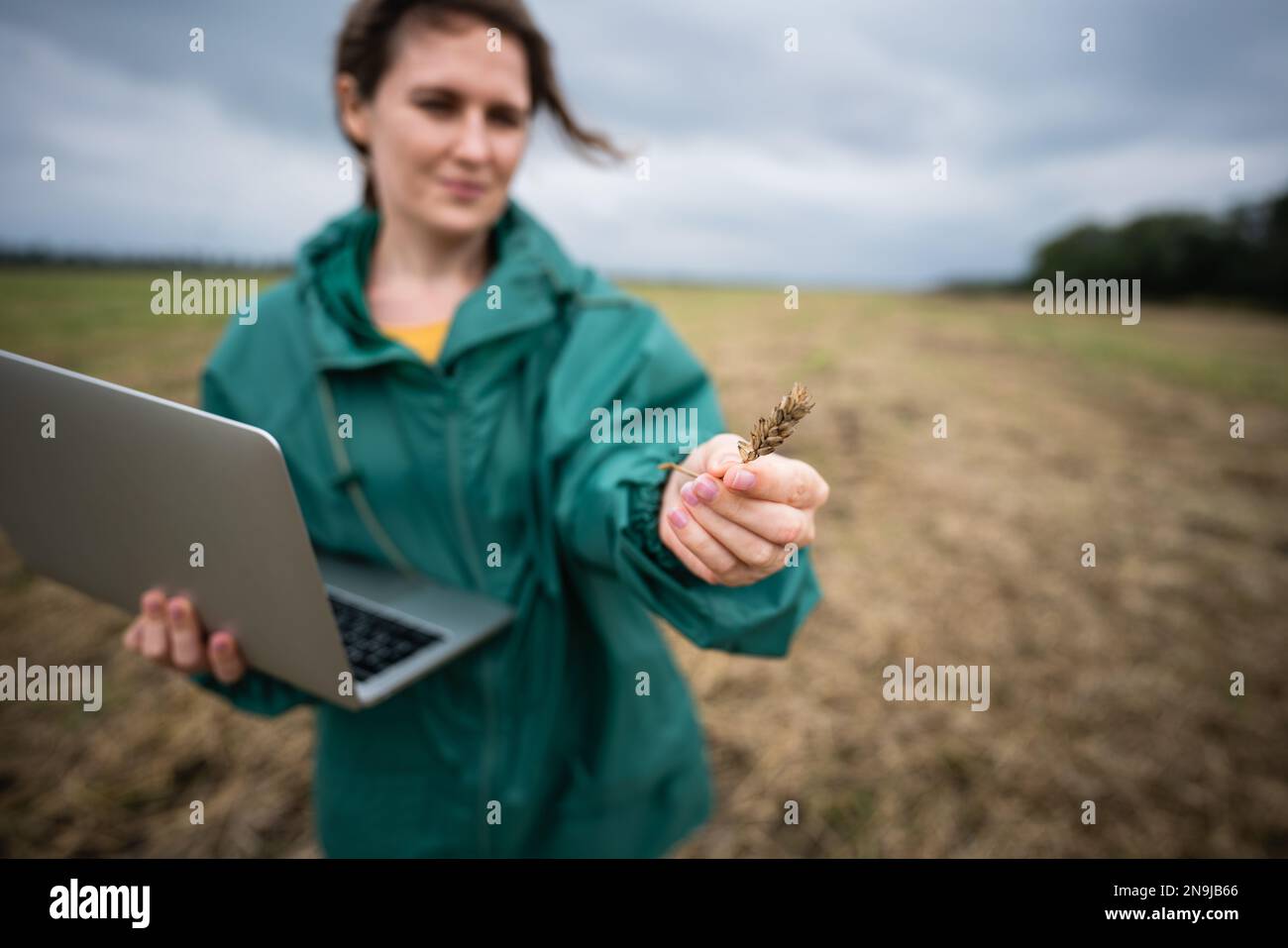 Farmer with laptop on the field. Smart farming and agriculture ...