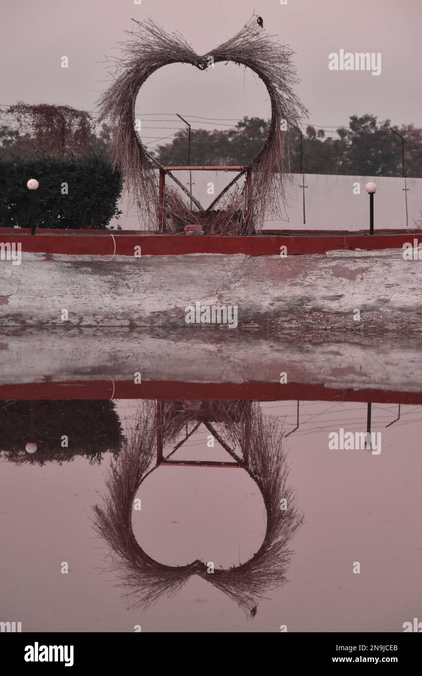 BIG heart shape grass and wood frame with water reflection Stock Photo ...