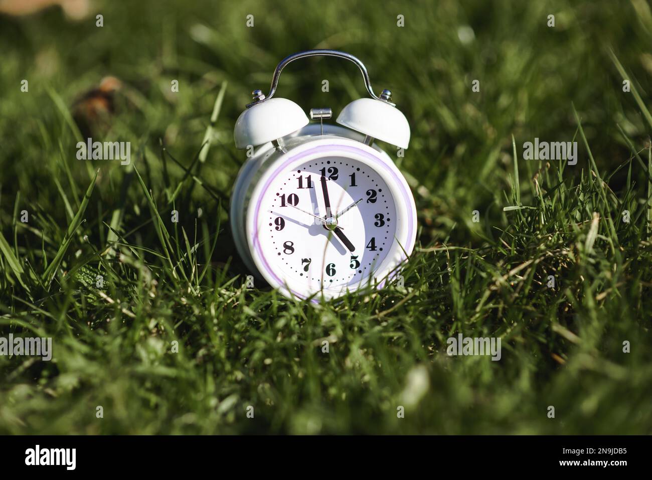 White color alarm clock on green grass. Time, circadian rhythm, early ...