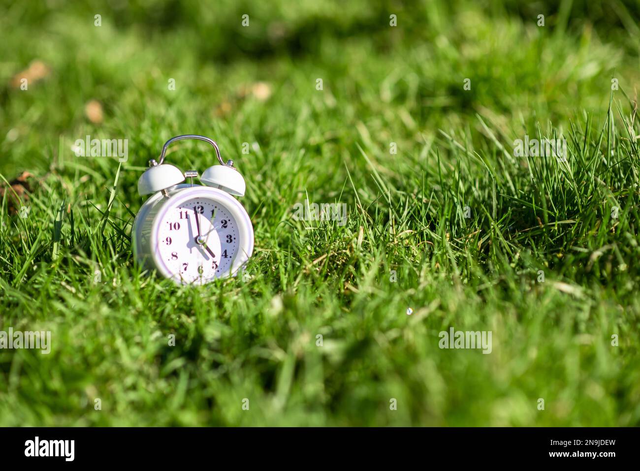 White color alarm clock on green grass. Place for text. Time, circadian ...
