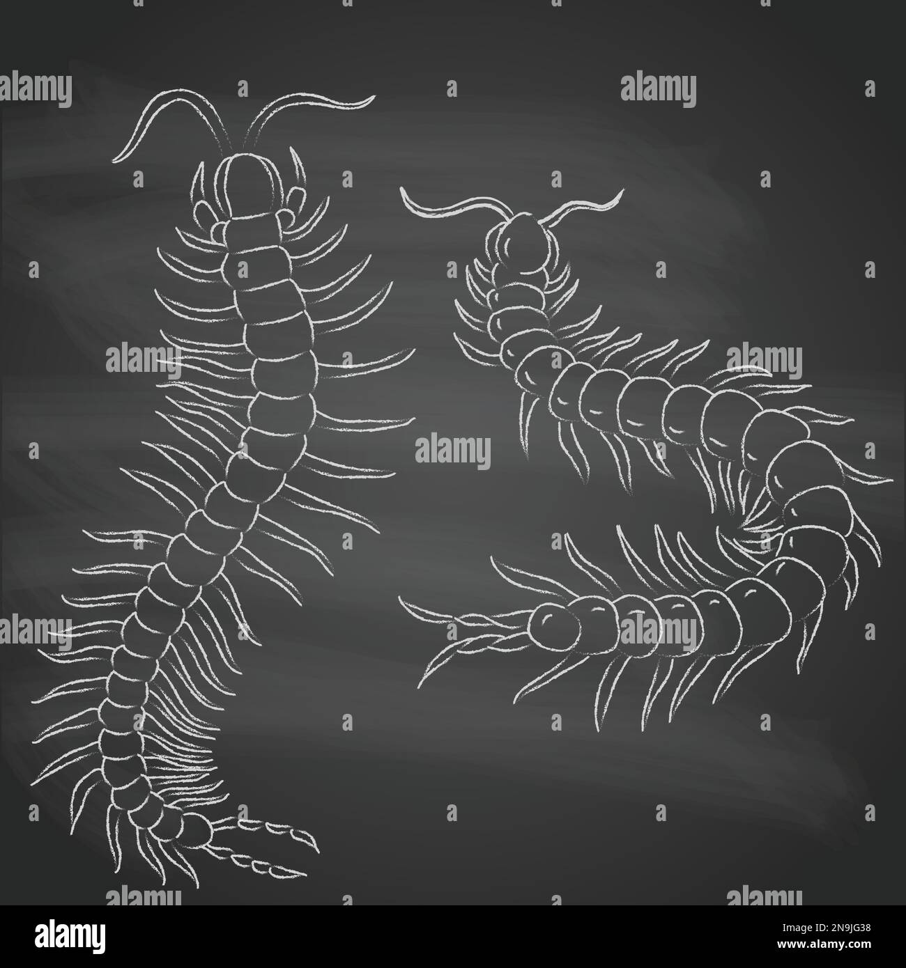 hand-drawn centipede cartoon, insect icon. vector Stock Vector Image ...