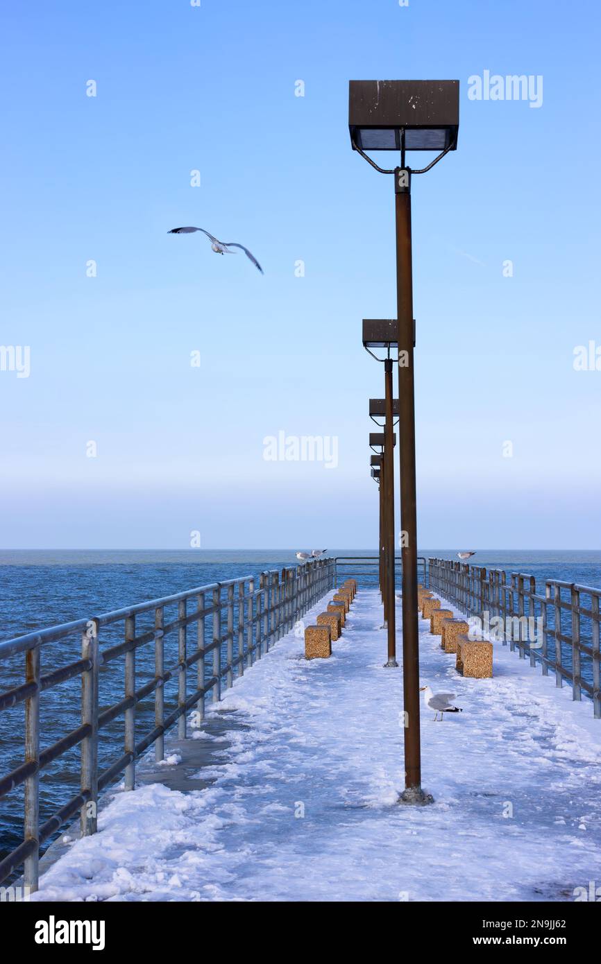 Ice and snow coat the pier where seagulls perch on the railings at ...