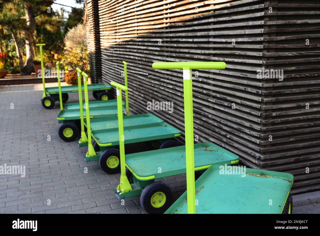 Shopping carts in the garden nursery center Stock Photo - Alamy