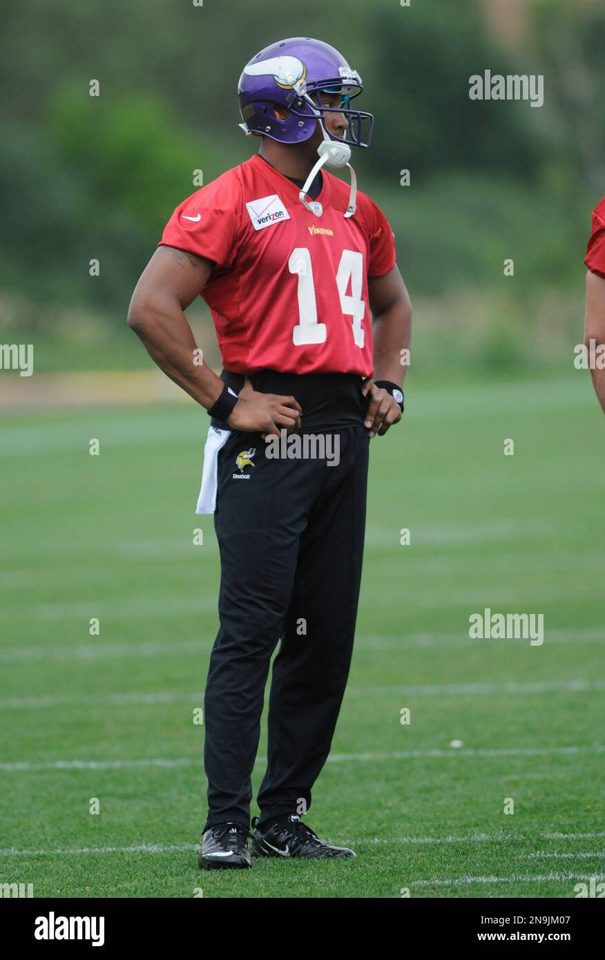 Minnesota Vikings NFL football quarterback Joe Webb is shown during ...