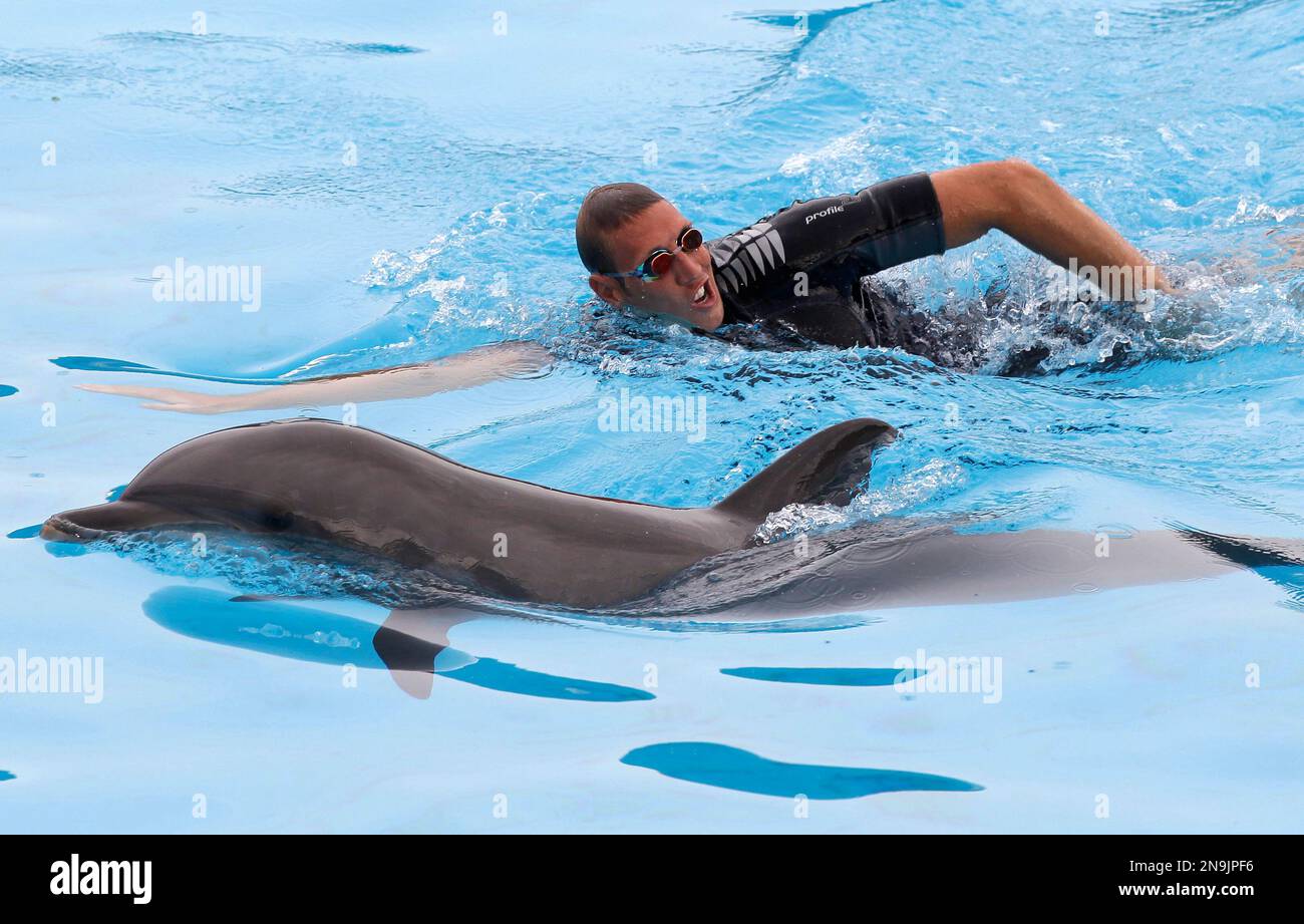 French swimmer champion Alain Bernard , swims with a dolphin at the ...