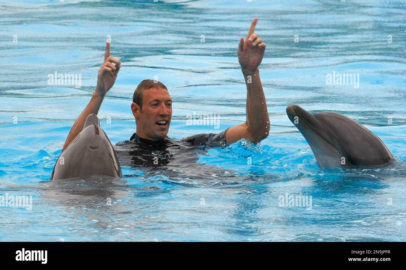 French swimmer champion Alain Bernard , swims with a dolphin at the ...