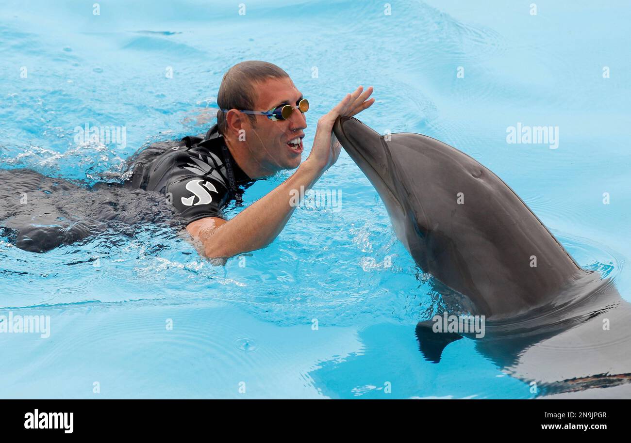 French swimmer champion Alain Bernard , swims with a dolphin at the ...