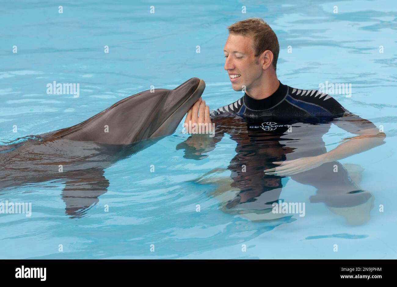 French swimmer champion Alain Bernard , swims with a dolphin at the ...