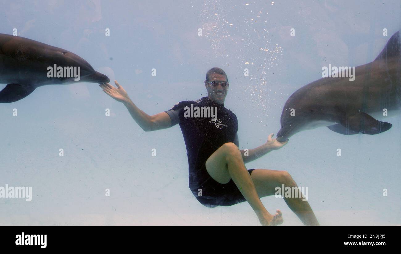 French swimmer champion Alain Bernard swims with dolphins at the ...