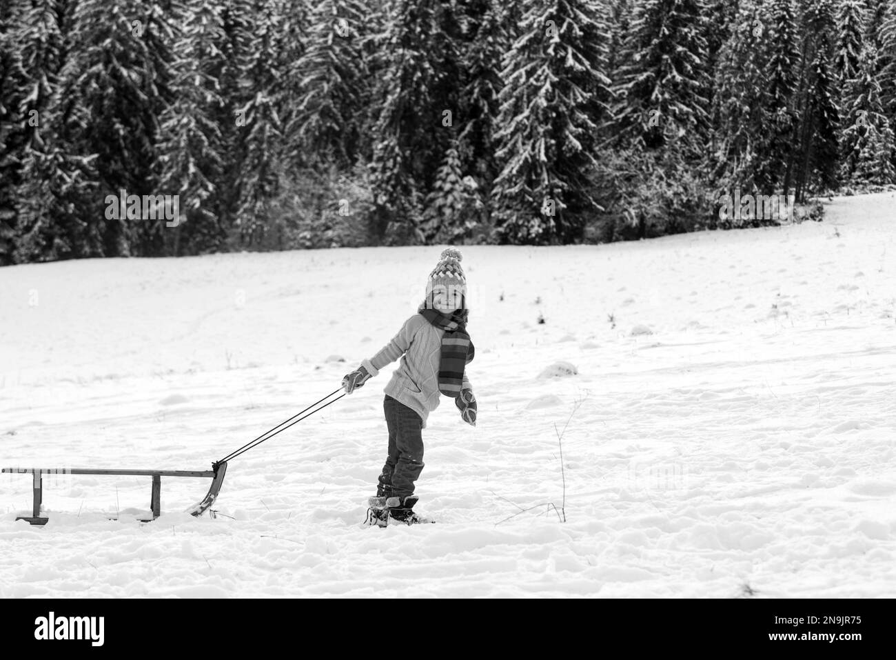 Happy winter child sledding in winter snowy forest. Kids with sled ...