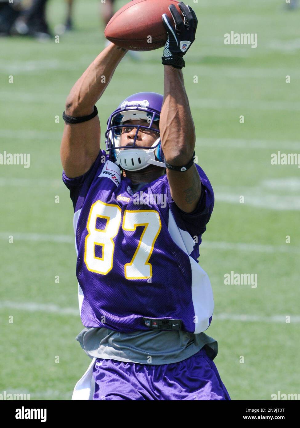 Minnesota Vikings NFL football wide receiver AJ Love is shown during ...
