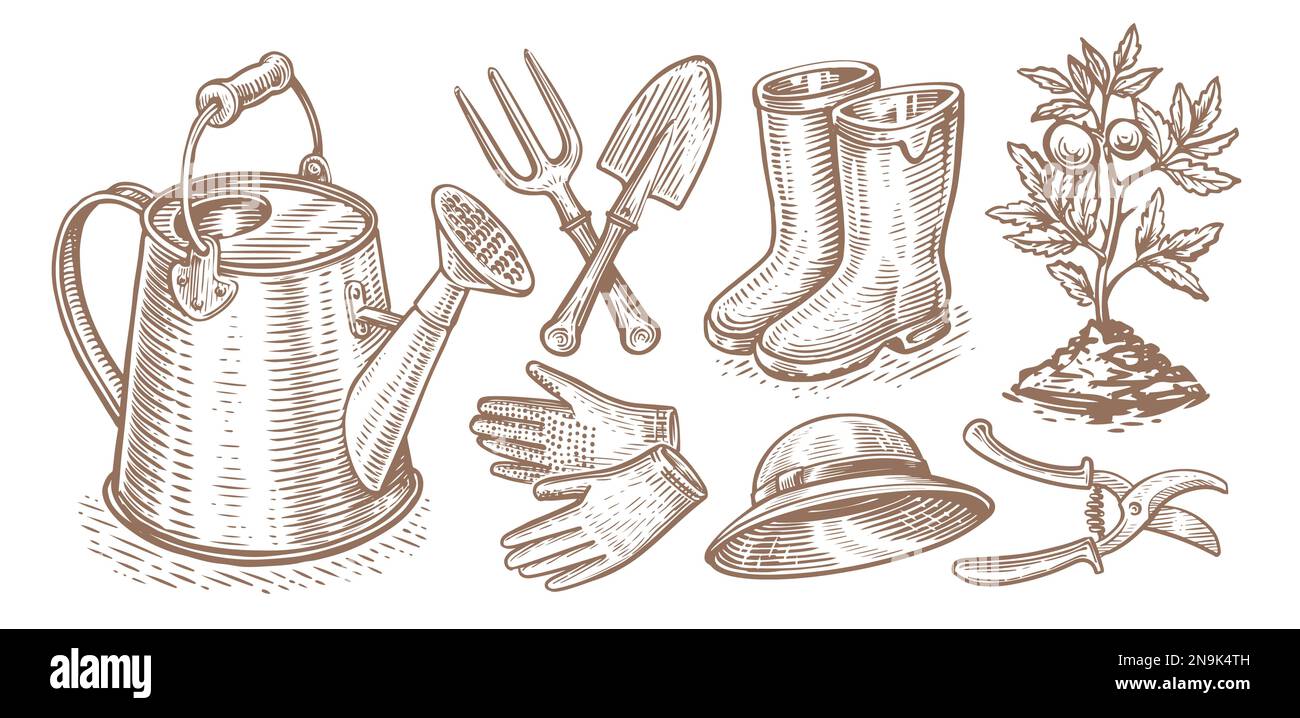 Garden tools, equipment collection. Gardening, horticulture concept ...