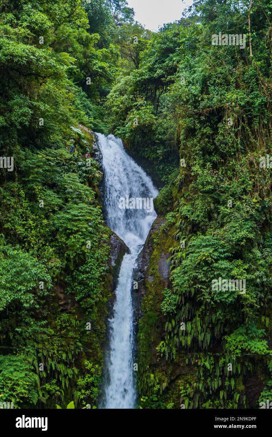 waterfalls in the Costa Rican rainforest Stock Photo - Alamy