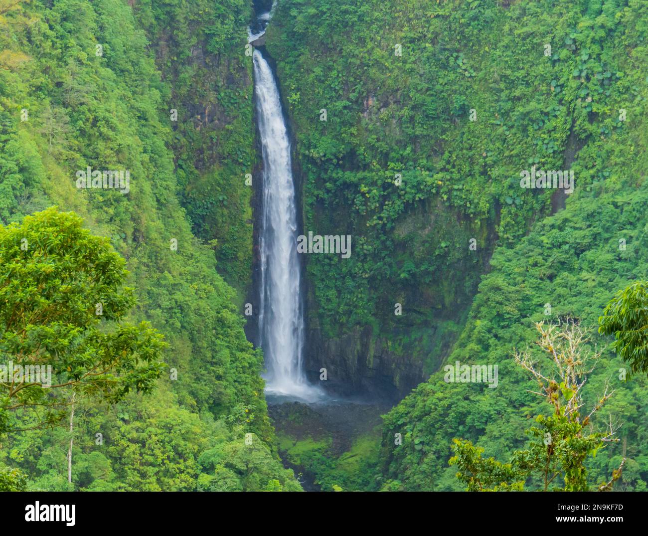 waterfalls in the Costa Rican rainforest Stock Photo - Alamy