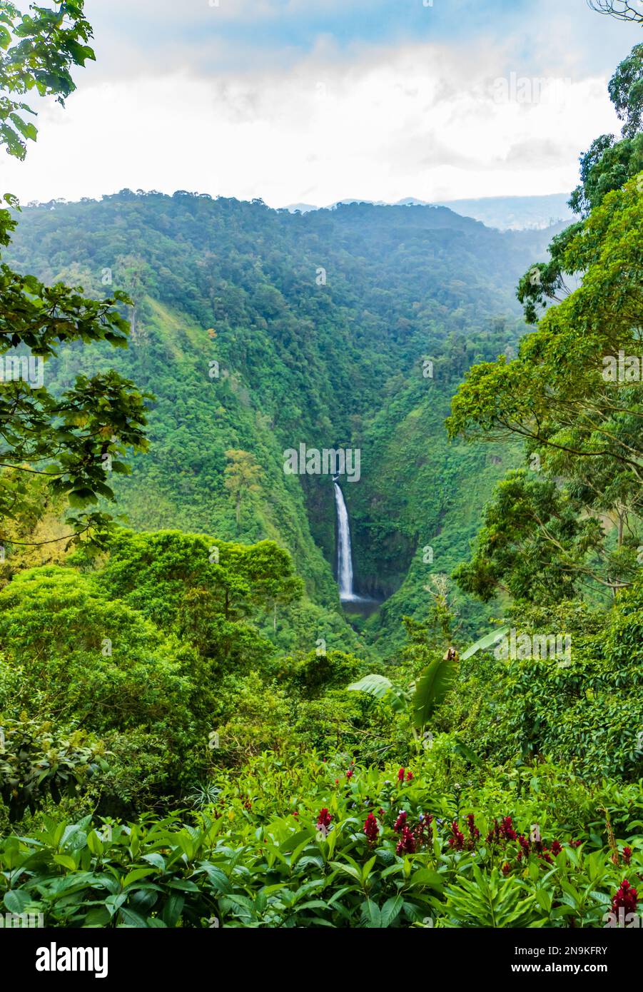waterfalls in the Costa Rican rainforest Stock Photo - Alamy
