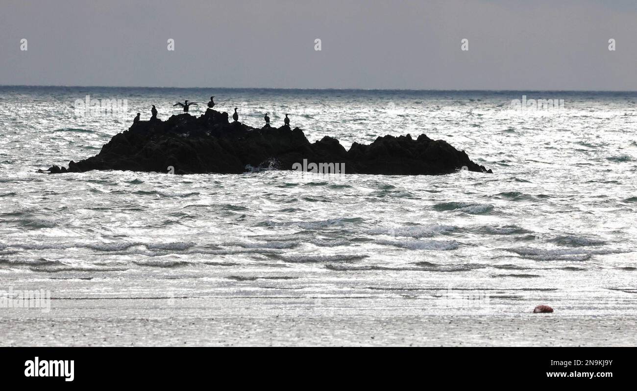 Ballykinler, County Down, Northern Ireland, UK. 12 Feb 2023. UK weather ...