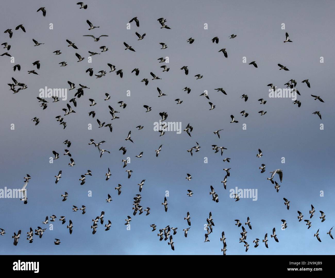 Dry feb uk hi-res stock photography and images - Alamy