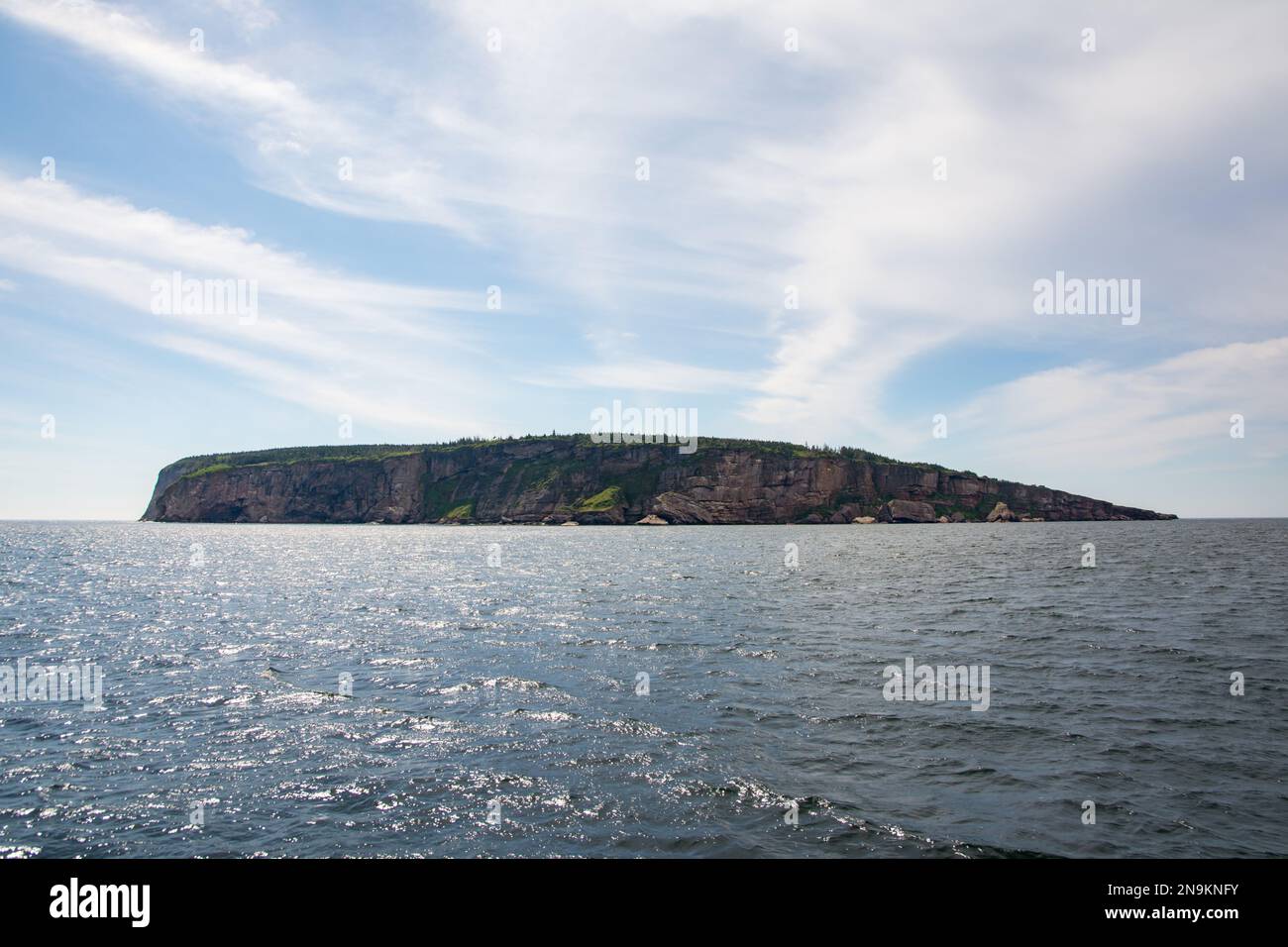 View of Bonaventure island, a protect island in the Gulf of Saint ...