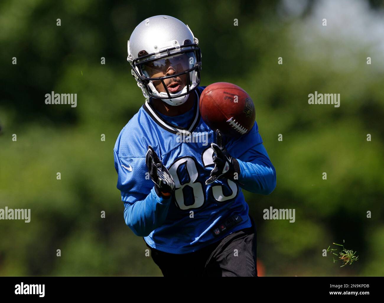 Detroit Lions wide receiver Patrick Edwards catches a ball during NFL ...