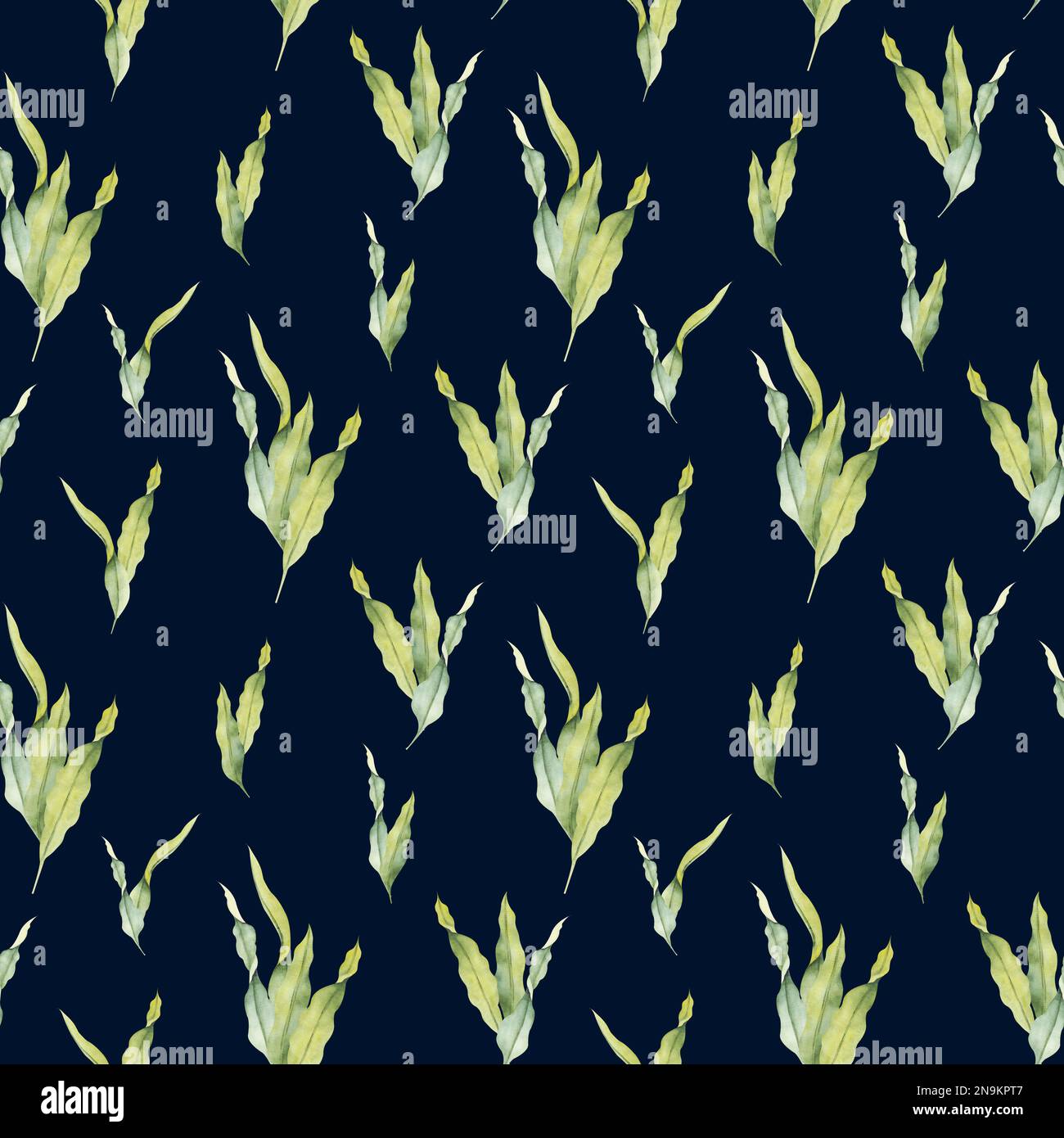 Seamless pattern with watercolor laminaria. Hand painted underwater ...