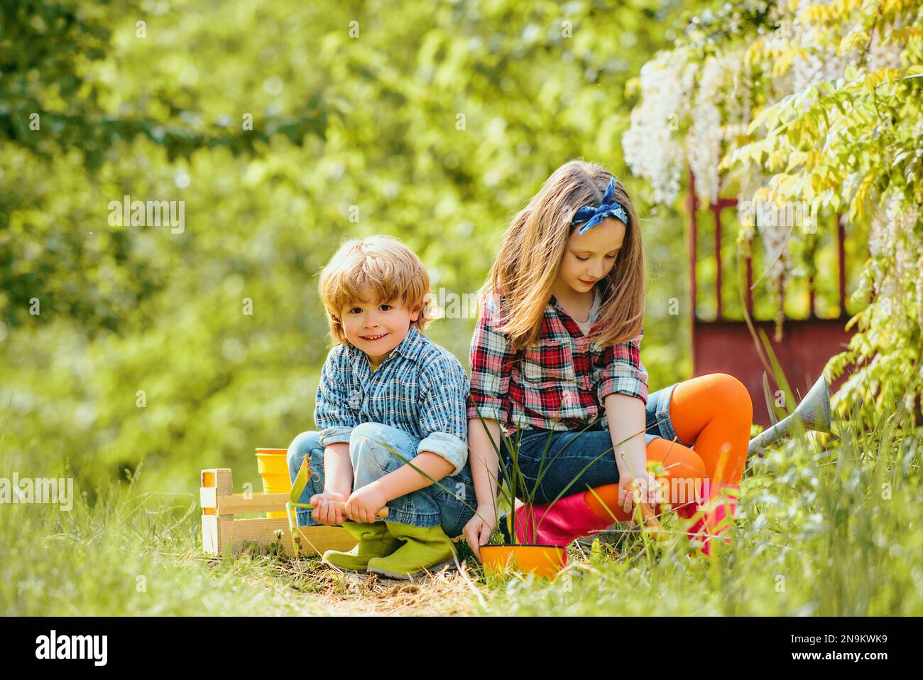Gardening with a kids. Children enjoy in farm. Kids portrait on ...