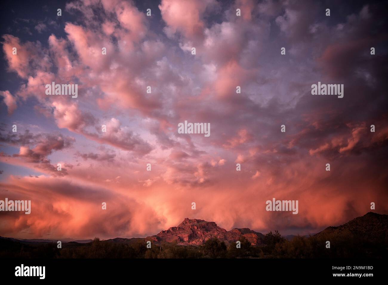 Pima maricopa indian reservation hi-res stock photography and images ...