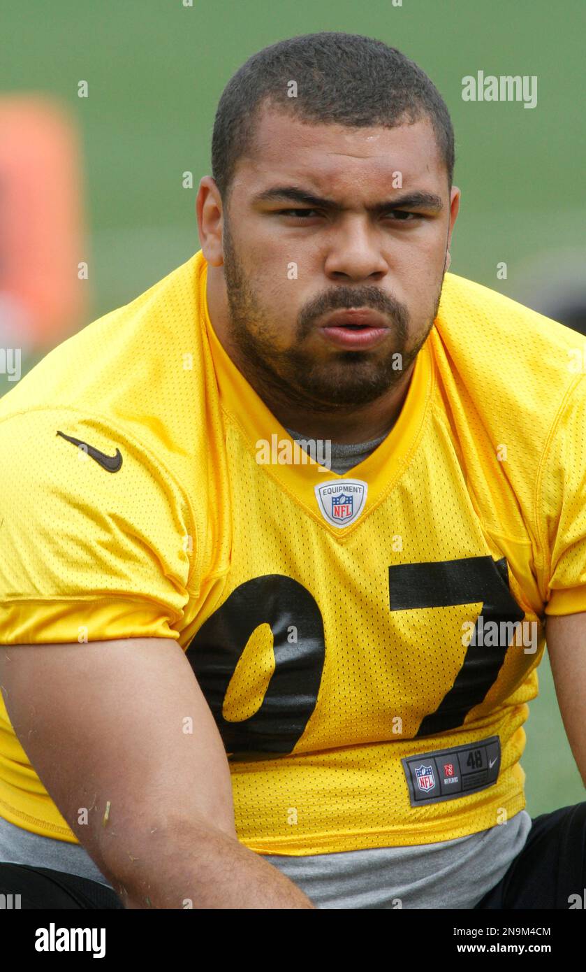 Pittsburgh Steelers defensive end Cameron Heyward during the NFL ...