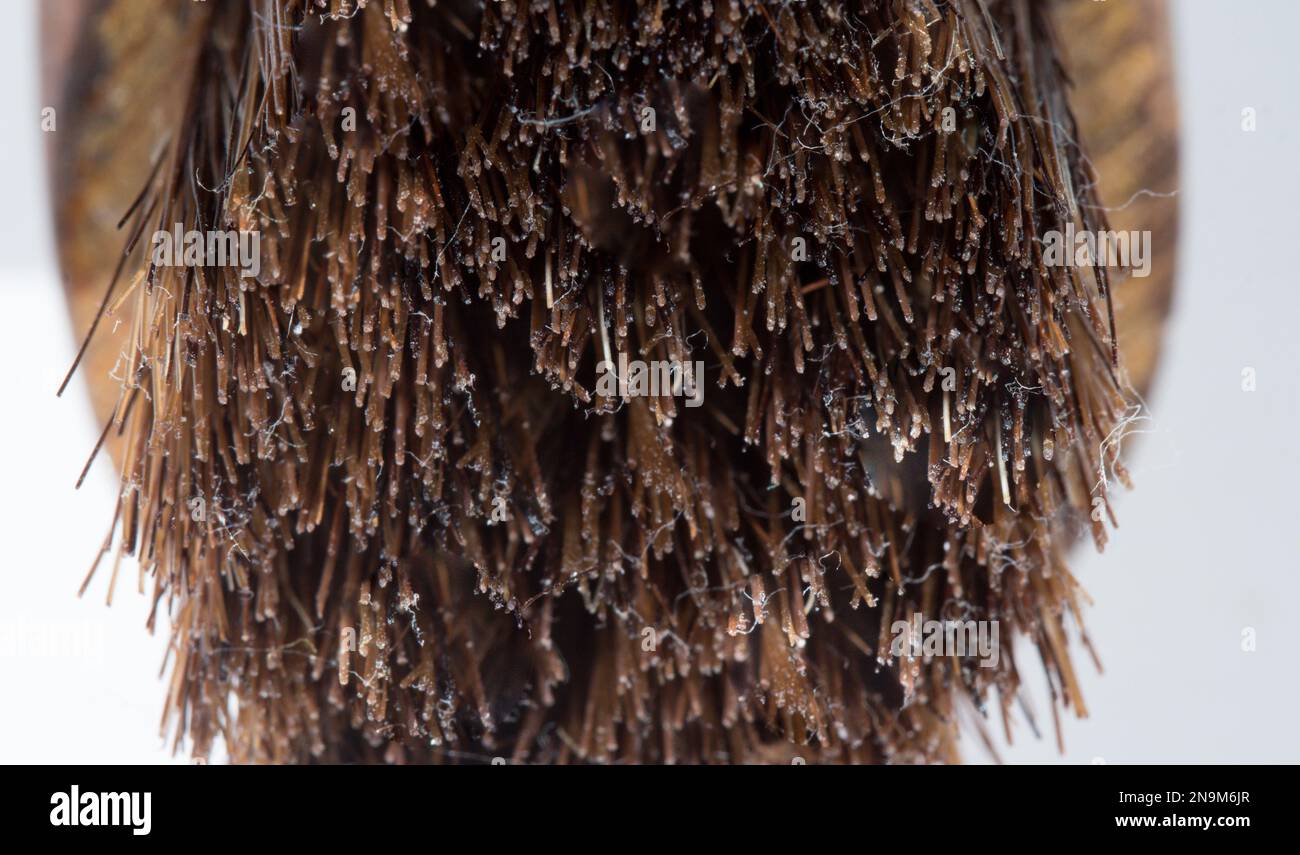 Abstracts hi-res stock photography and images - Alamy