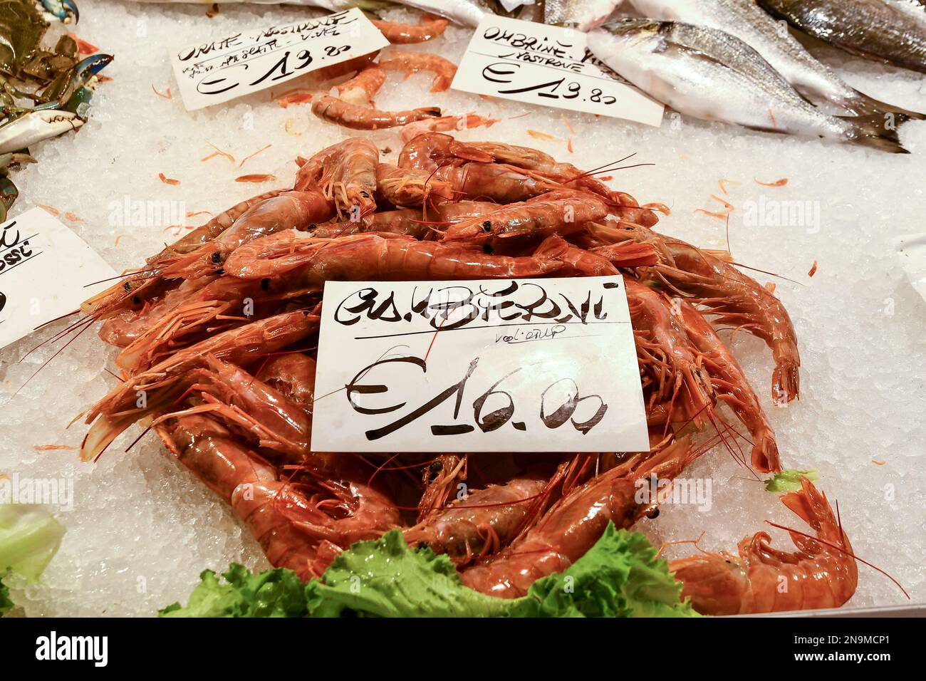 Close-up of the catch of the day at the Loggia of the Fish Market of ...