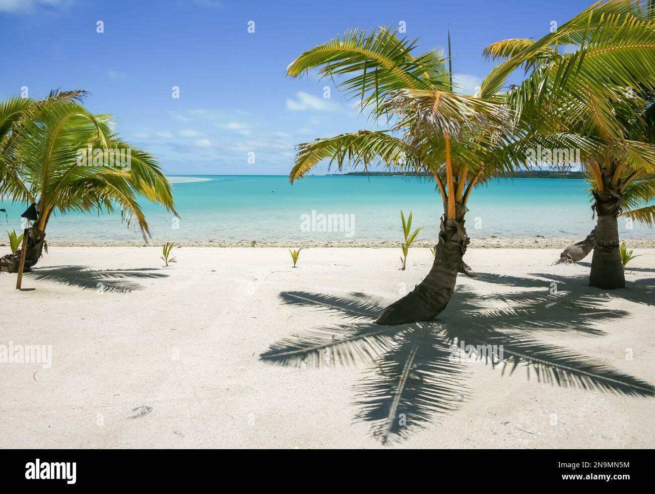 Low palm trees on white coral beach on atoll of Aitutaki in Cook ...