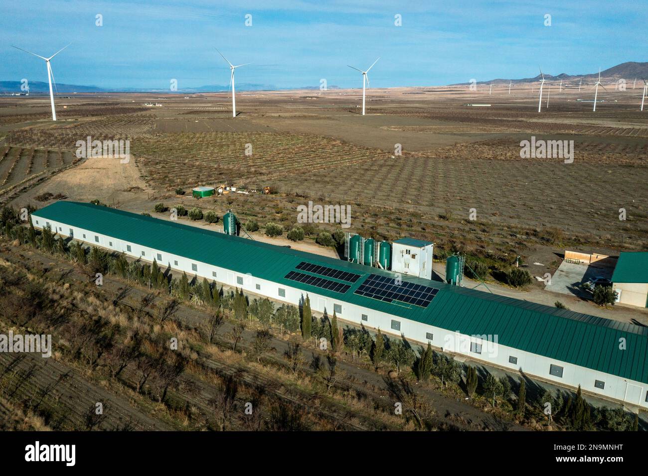 Aerial view modern pig farm hi-res stock photography and images - Alamy